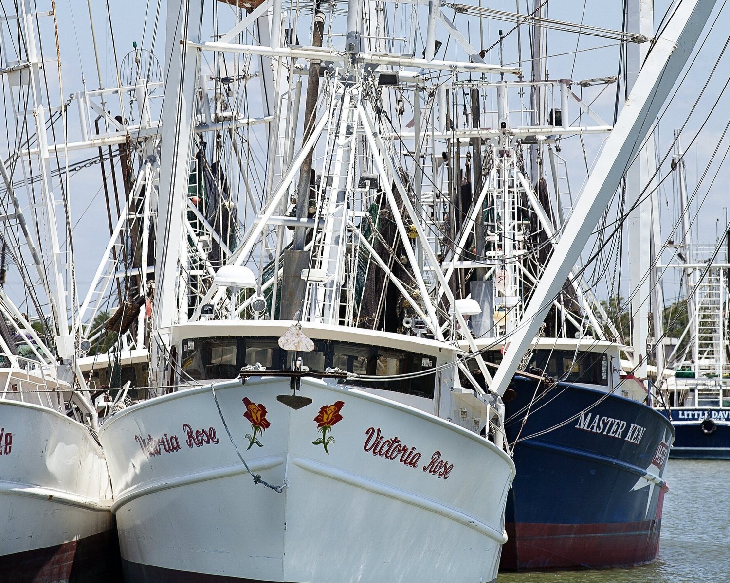 Shrimp Boat Stories — Philly Seafood