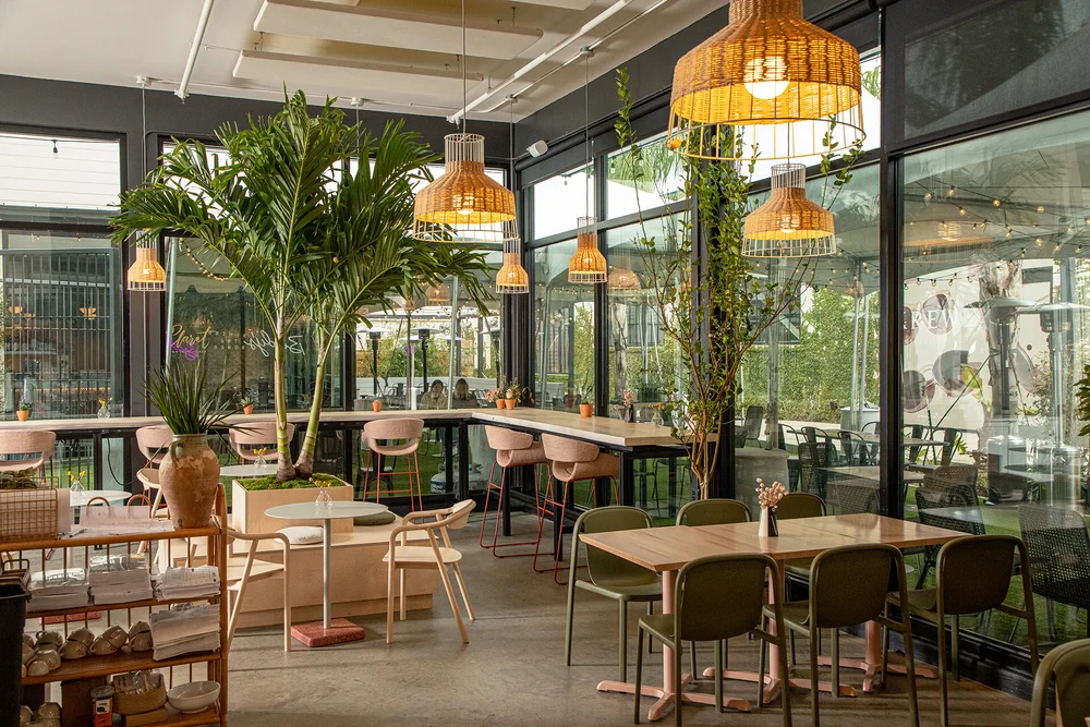 BIRDY'S NOLA