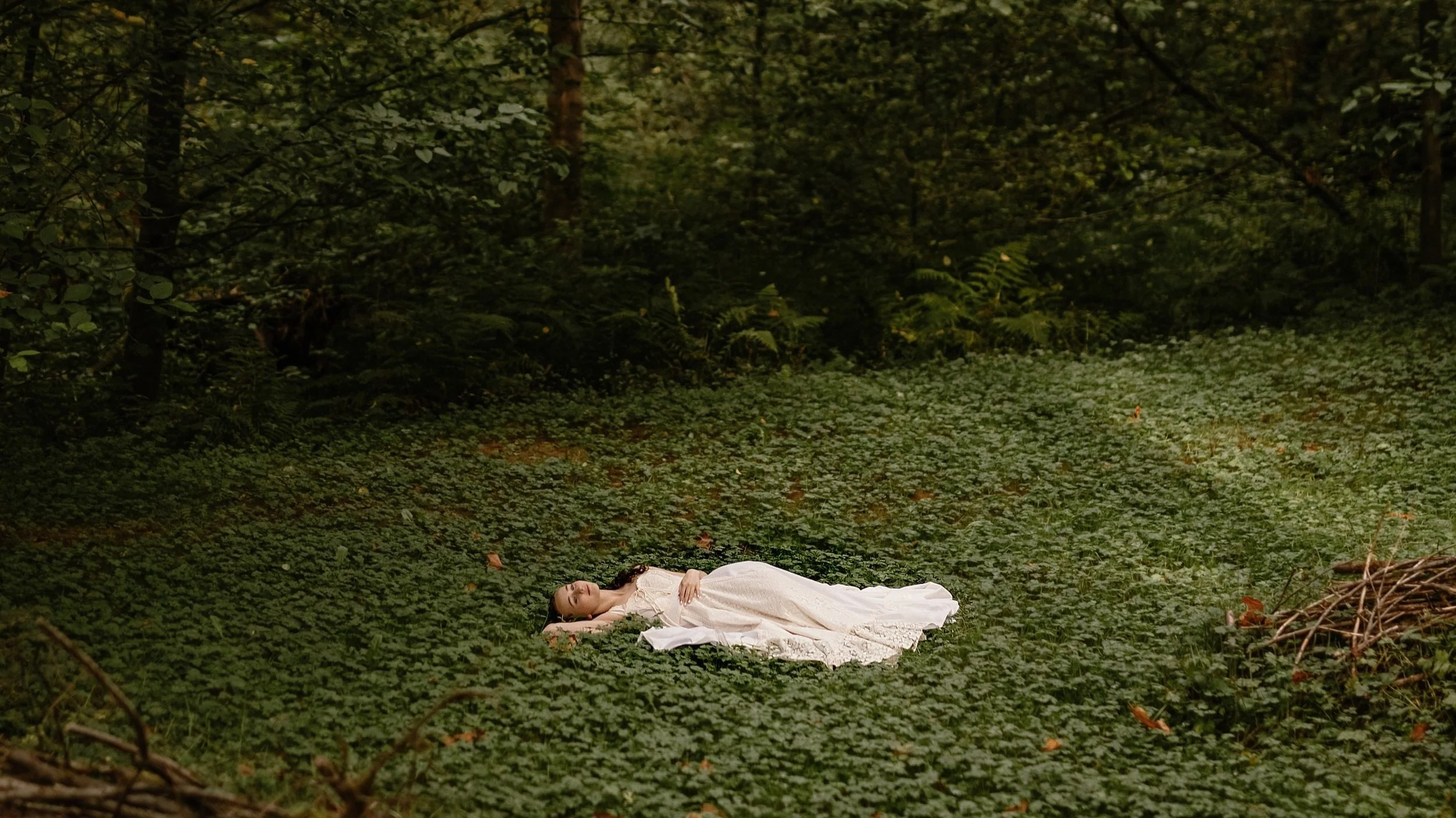 NEW! THE MEADOW — STUDIO BISH