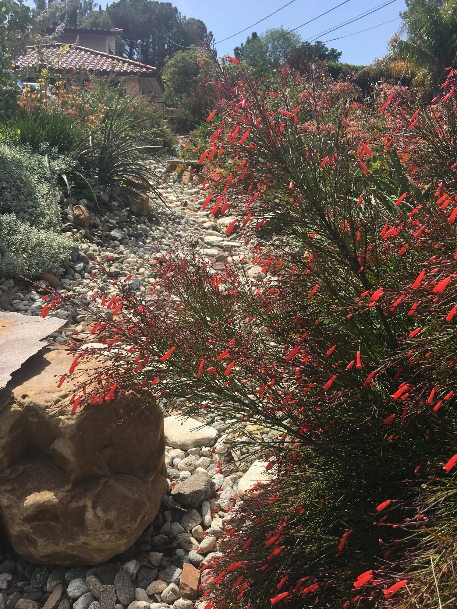 Low water — Table 2 Garden