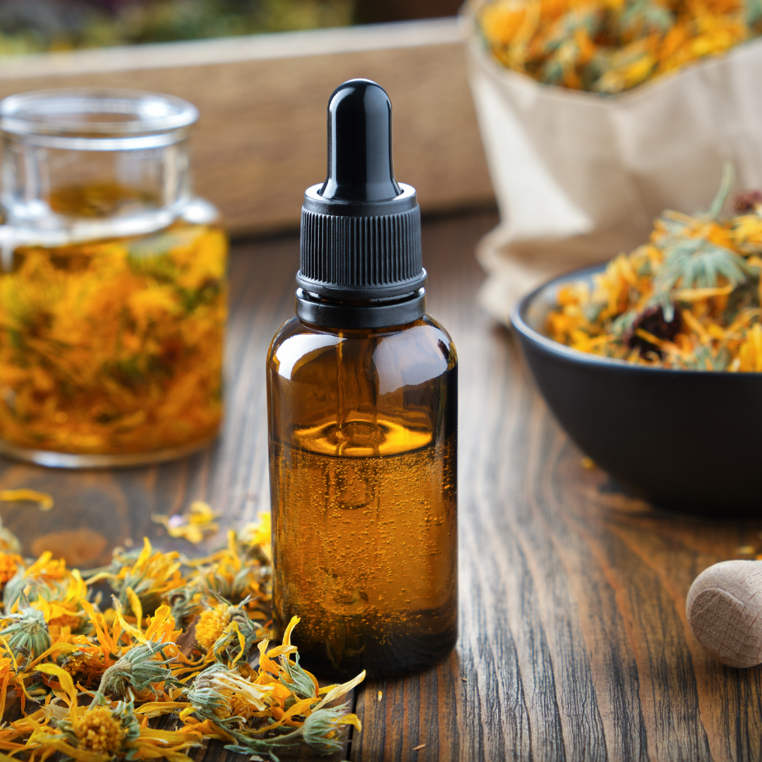 Delicious + Medicinal — Woodland Wellness