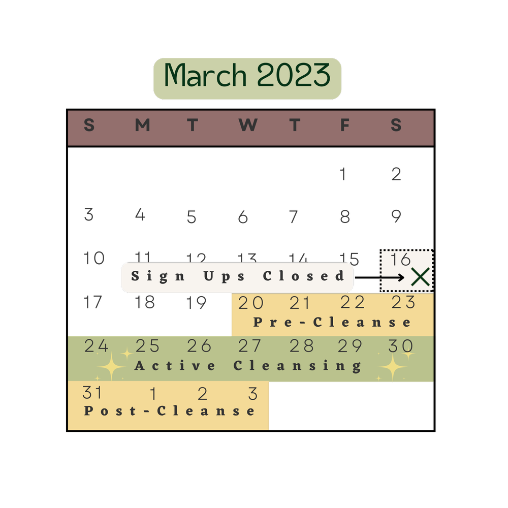 Join Our Kitchari Cleanse | Ayurvedic Detox Program — Woodland Wellness