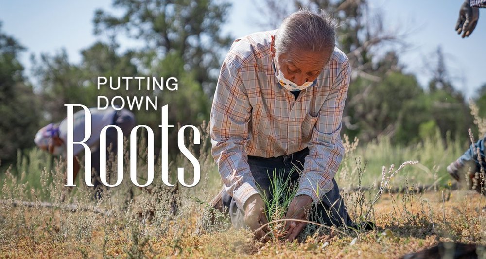 Putting Down Roots — Trees, Water & People