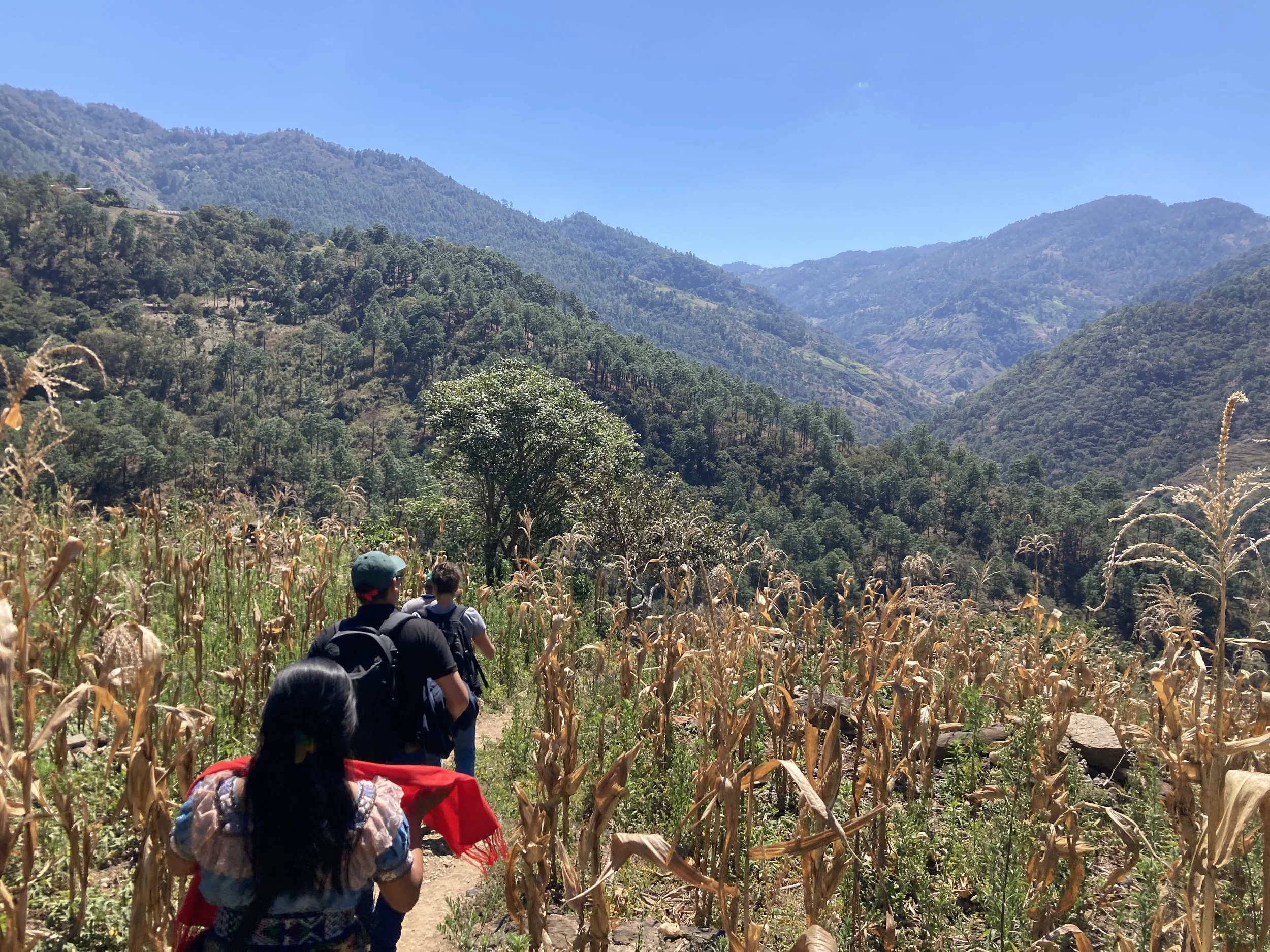 FUNDEBASE and TWP: Tackling food insecurity together in Guatemala ...