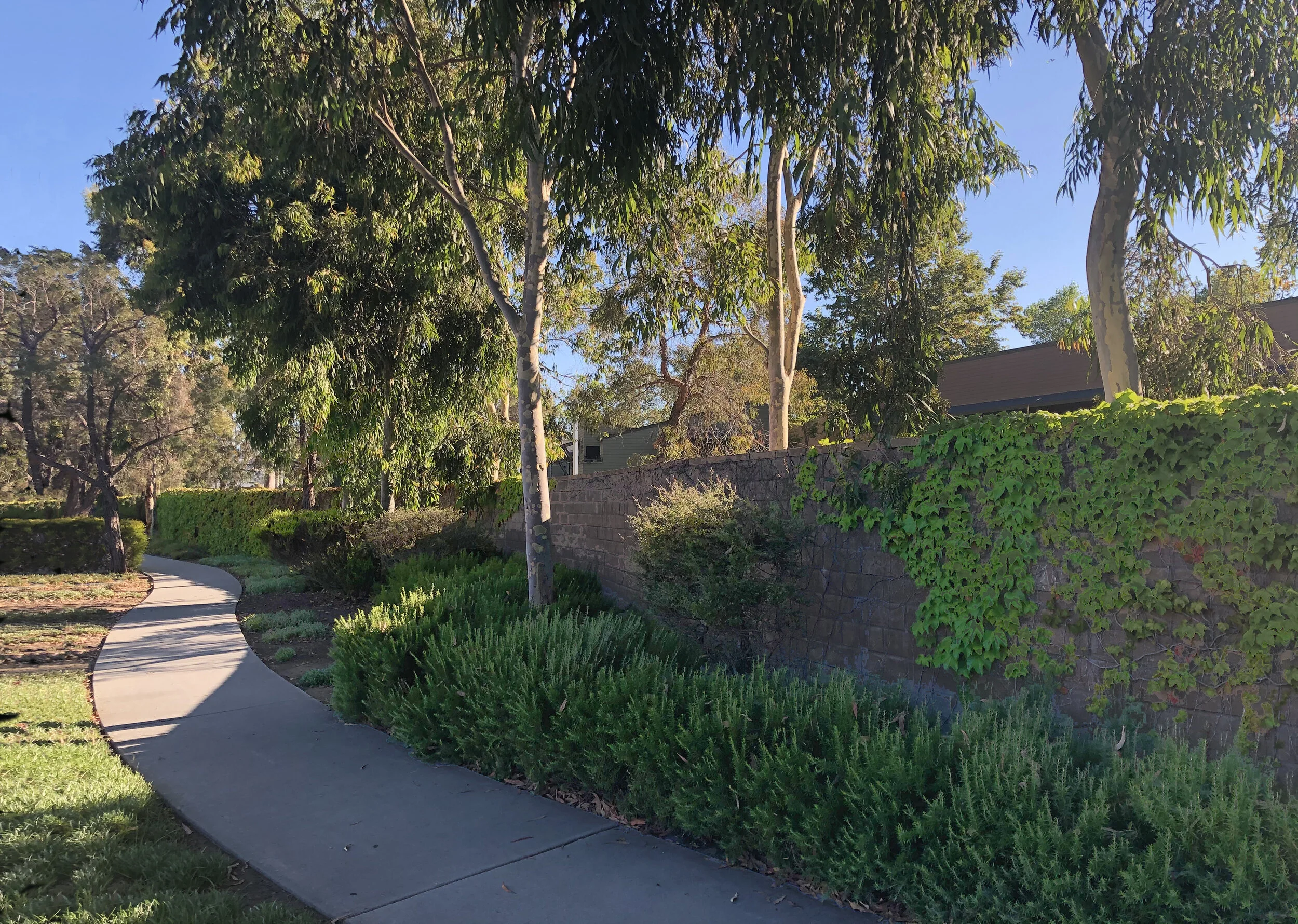 brookview senior housing — attention2 landscape architecture