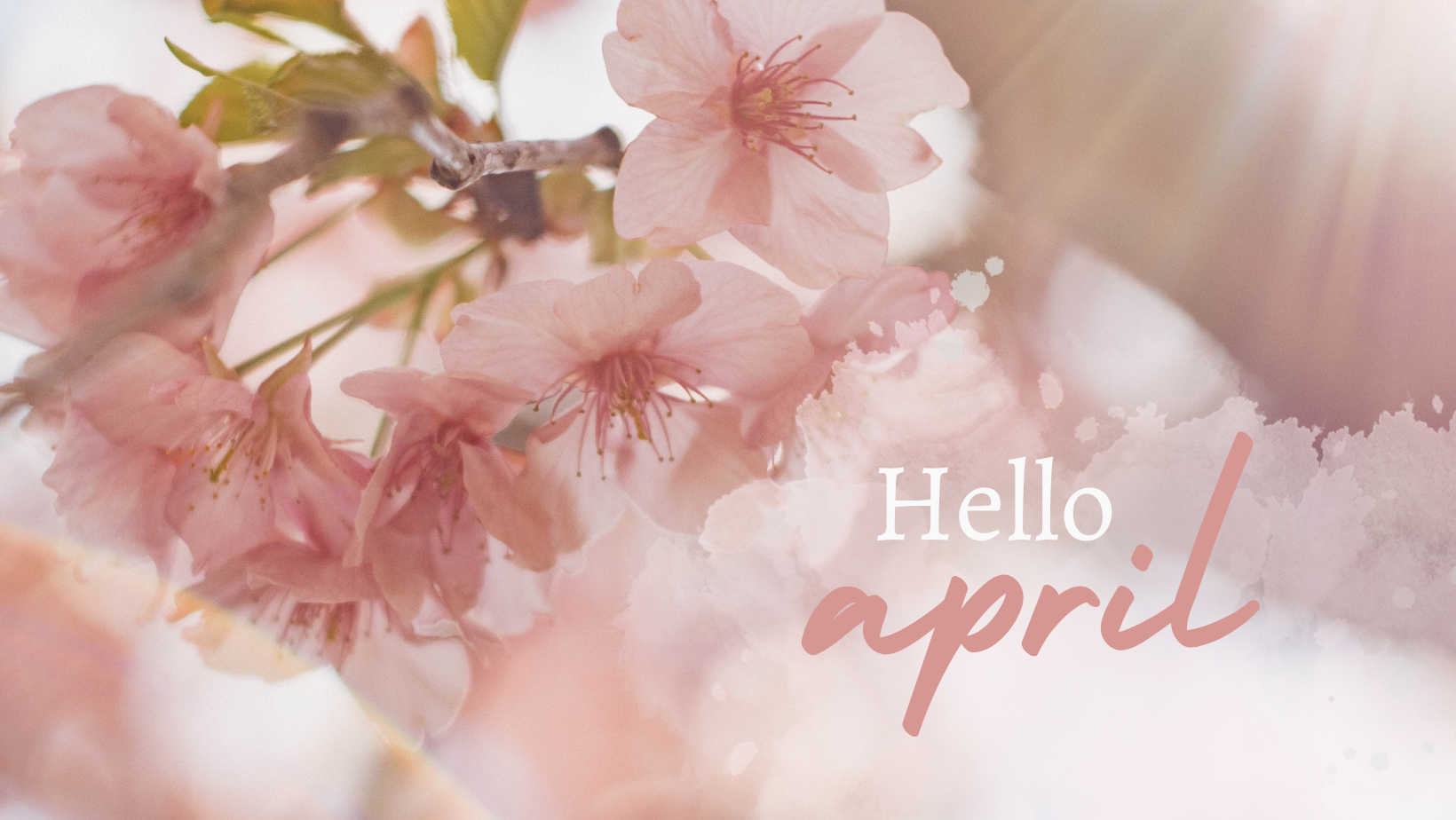 April 2023 Newsletter — Schwarz Wellness Center