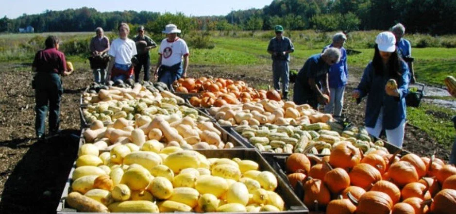 Products | Organic | Natural | Pasture Raised | GMO-Free — Grindstone Farm