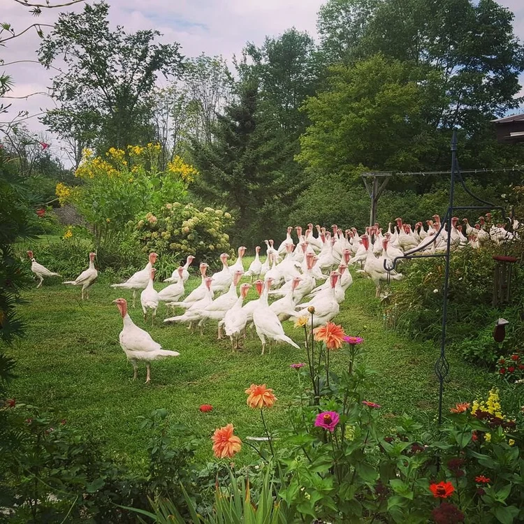 Contact — Grindstone Farm