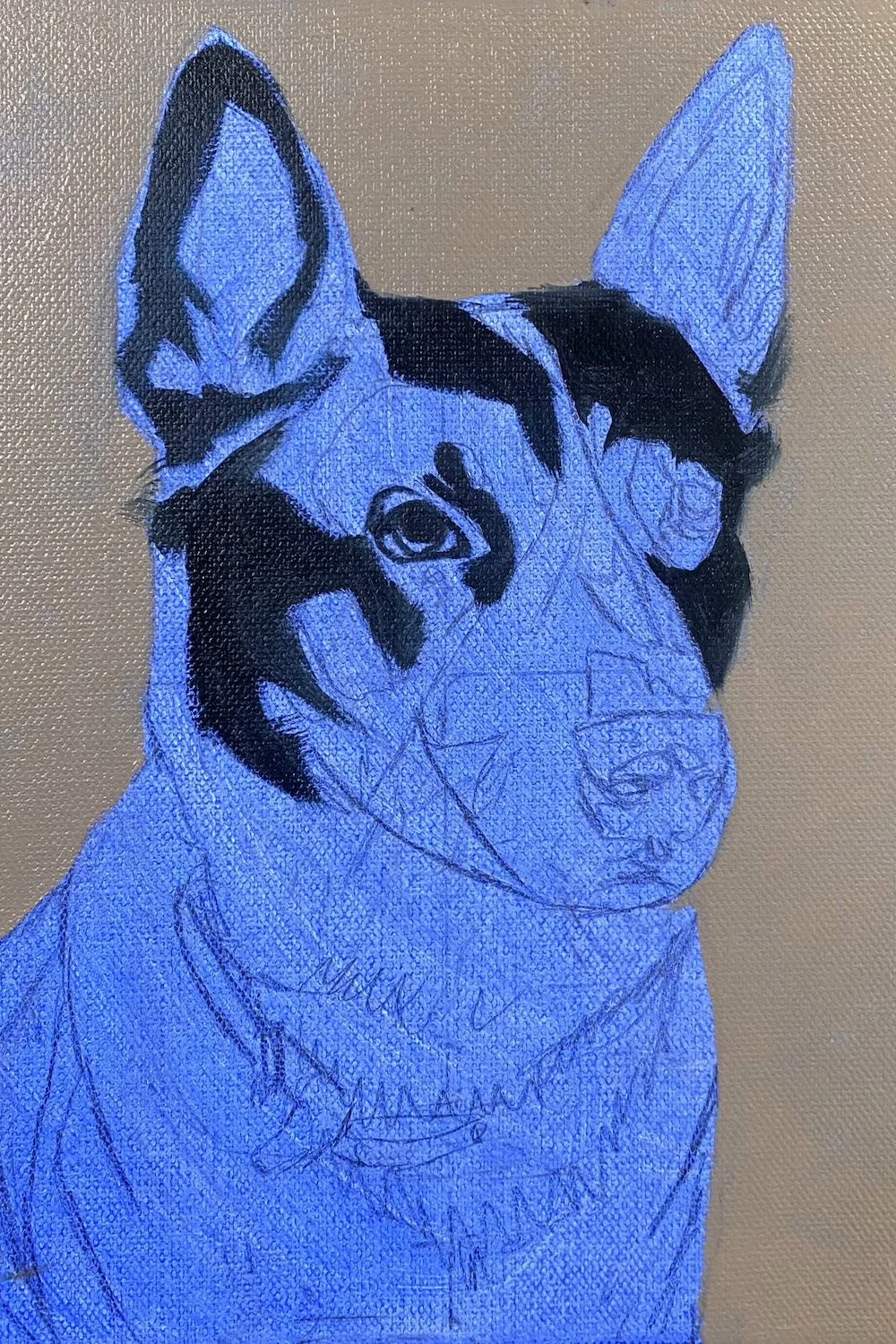 Brianna Leidy - Pet Portrait Commissions - Dogs, Cats and more