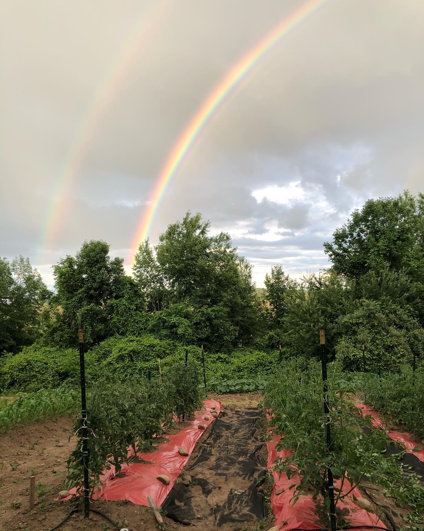 The Bounty — Forest Ridge Farmstead