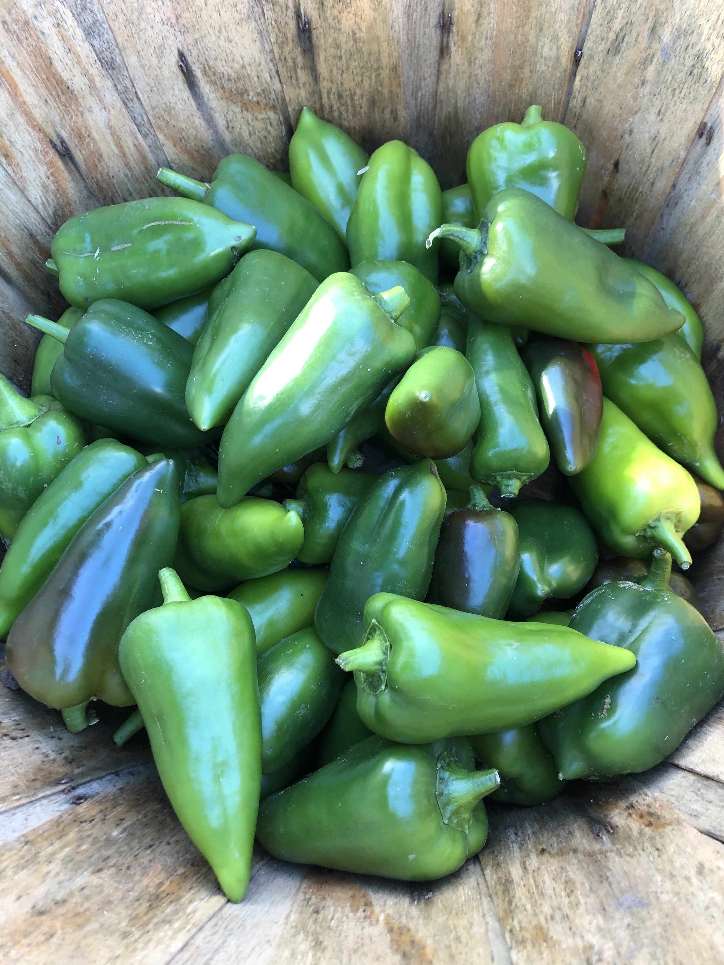 The Bounty — Forest Ridge Farmstead