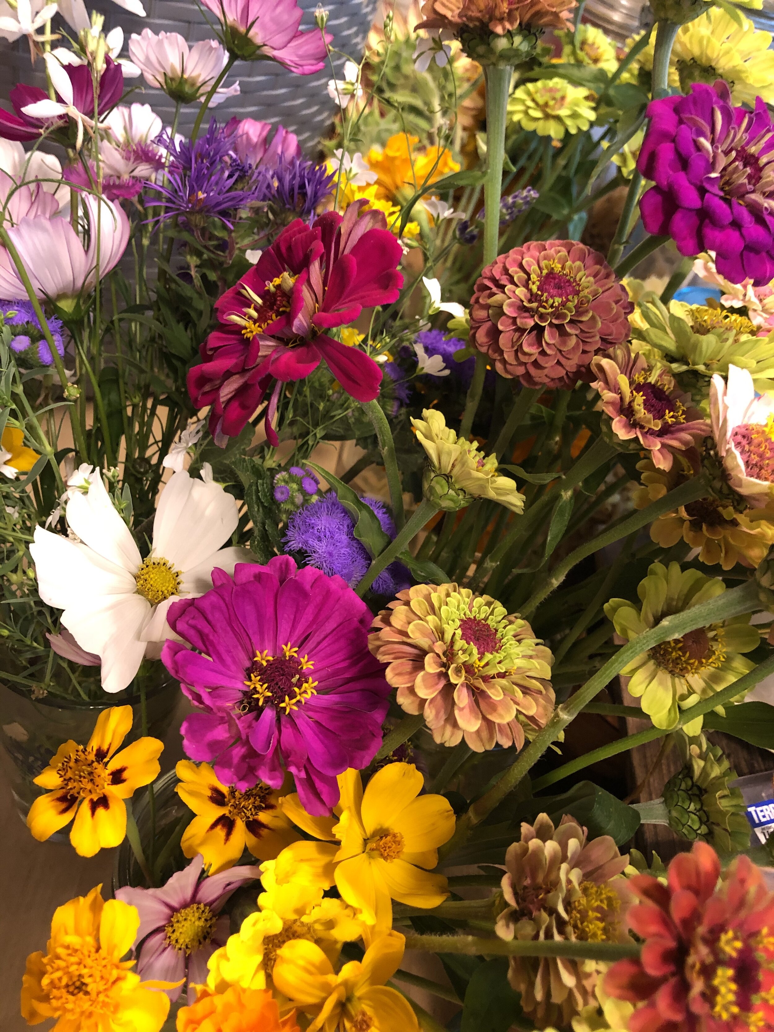 The Bounty — Forest Ridge Farmstead