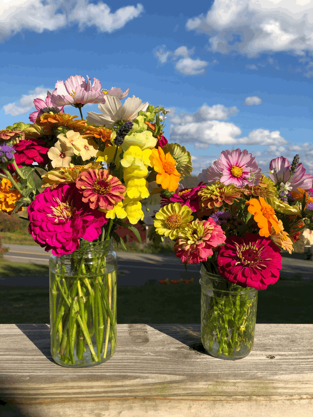 Forest Ridge Farmstead