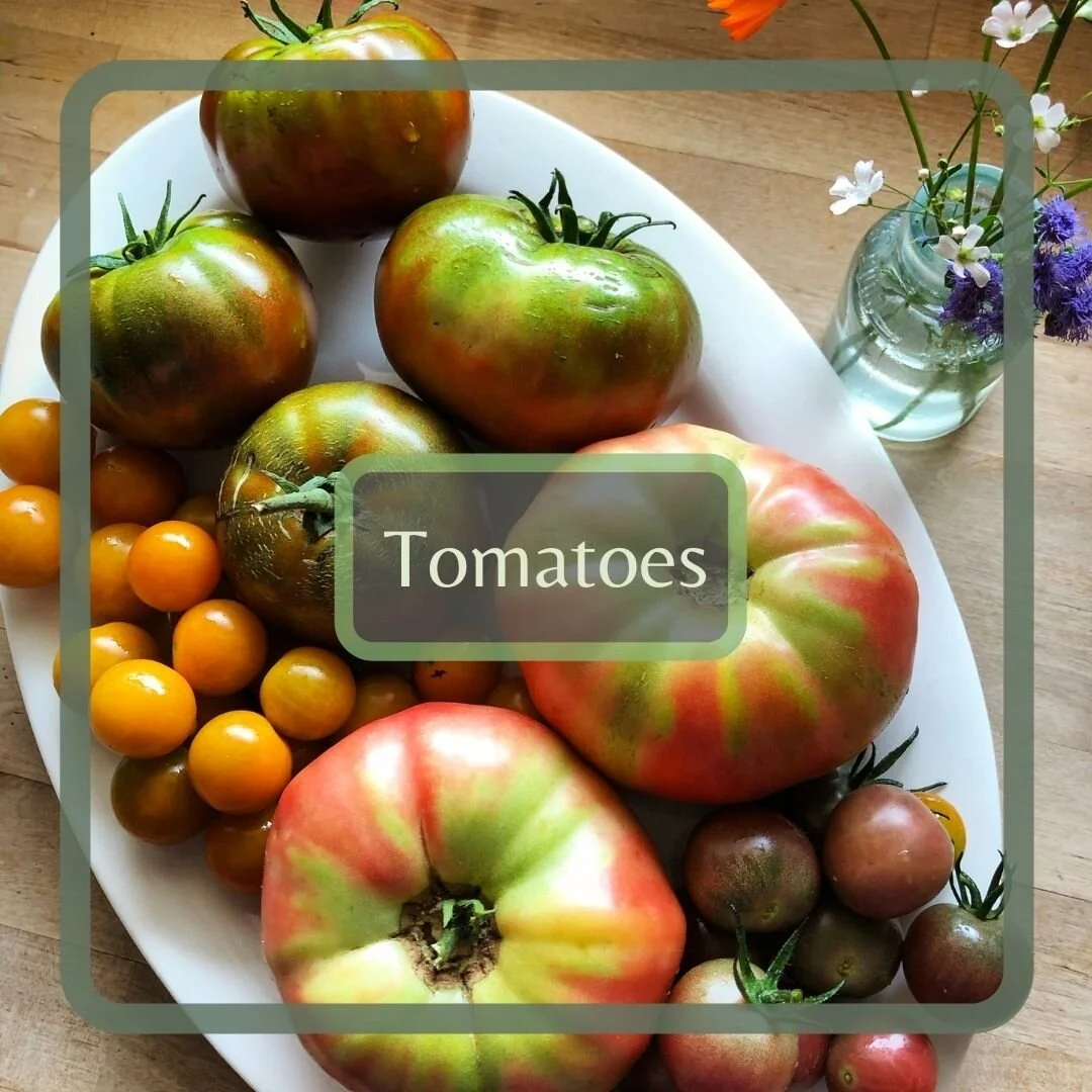 The Bounty — Forest Ridge Farmstead