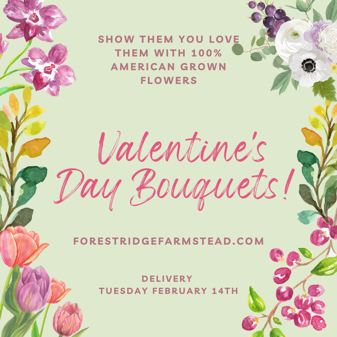 Forest Ridge Farmstead