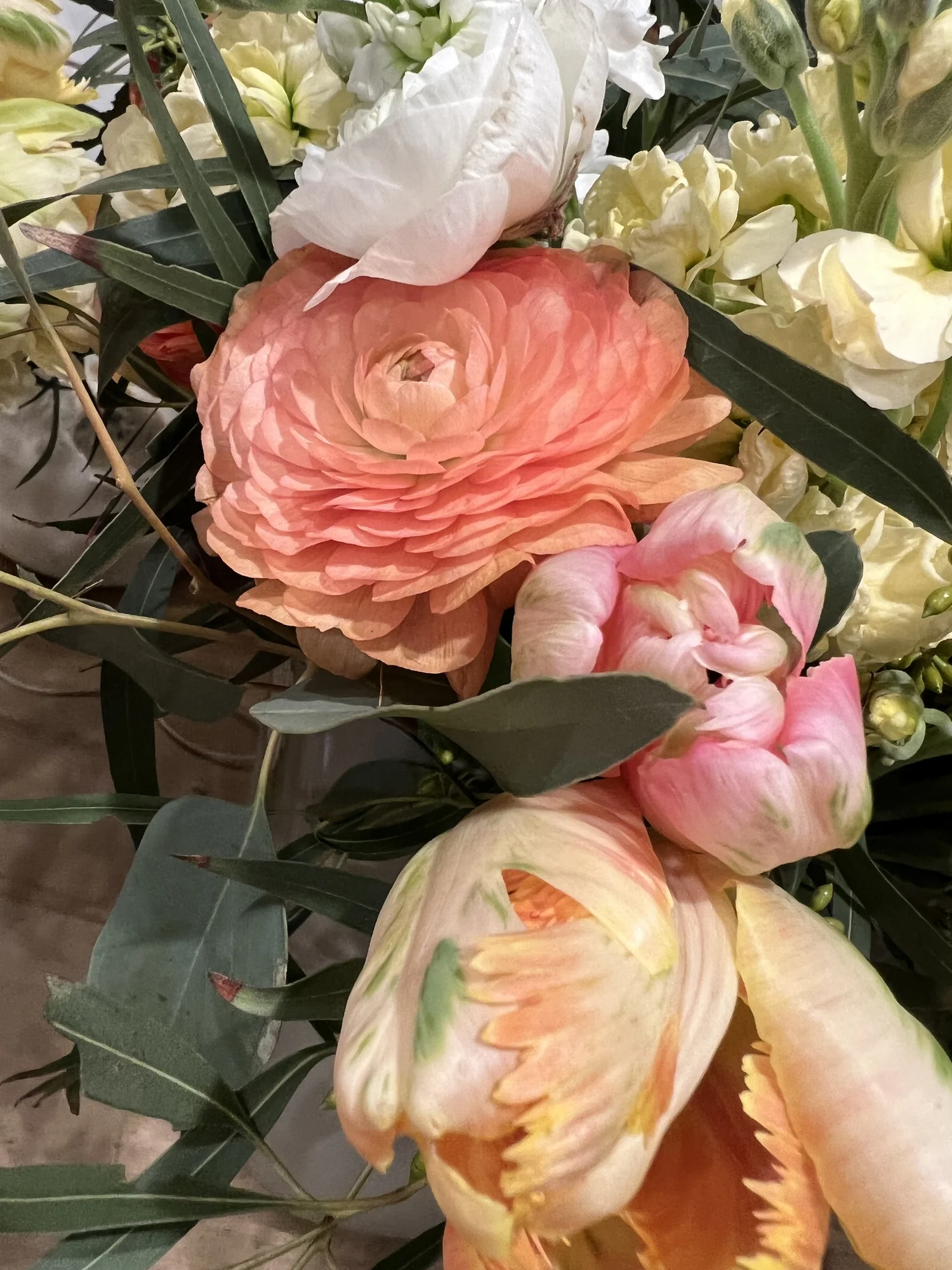 Forest Ridge Farmstead