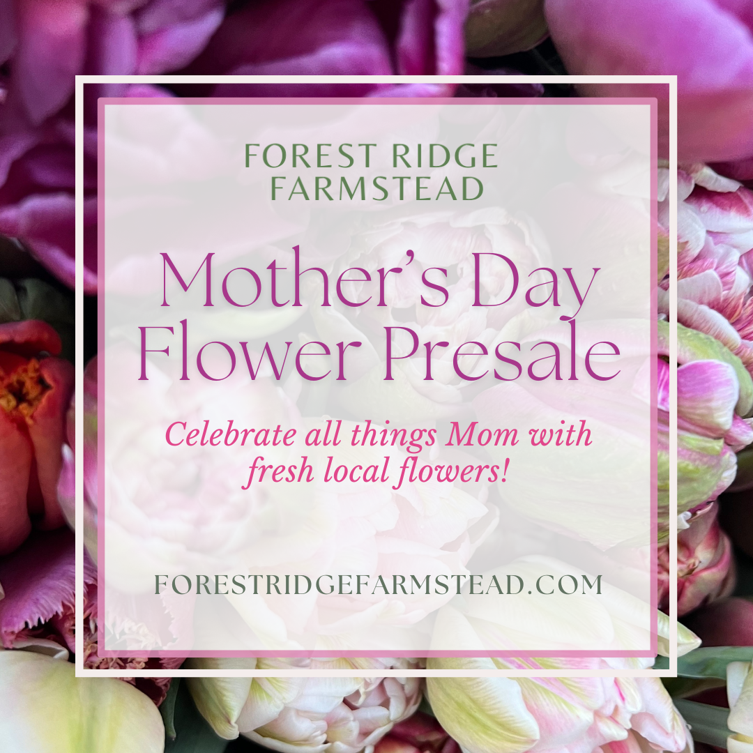 Forest Ridge Farmstead