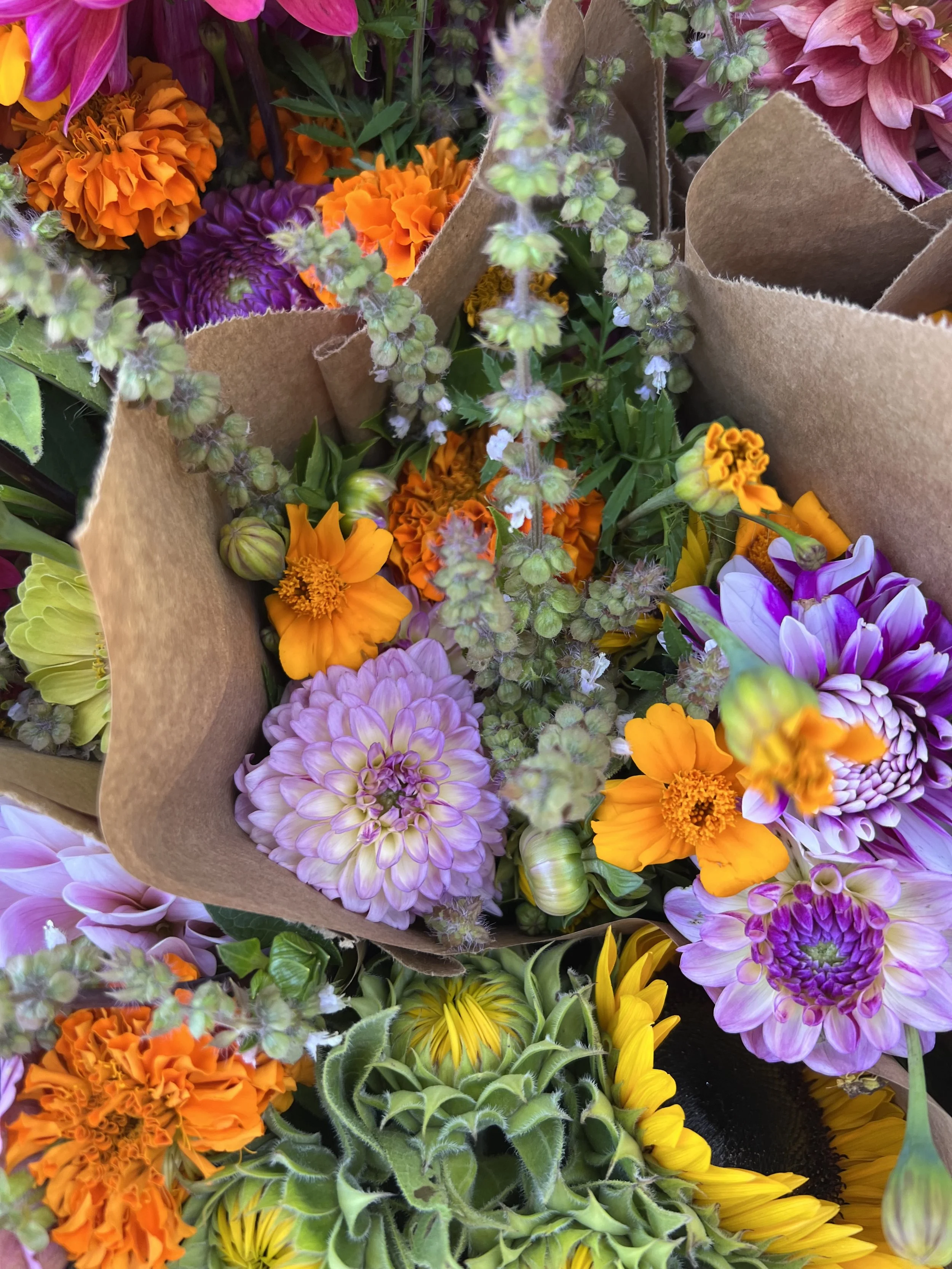 Forest Ridge Farmstead