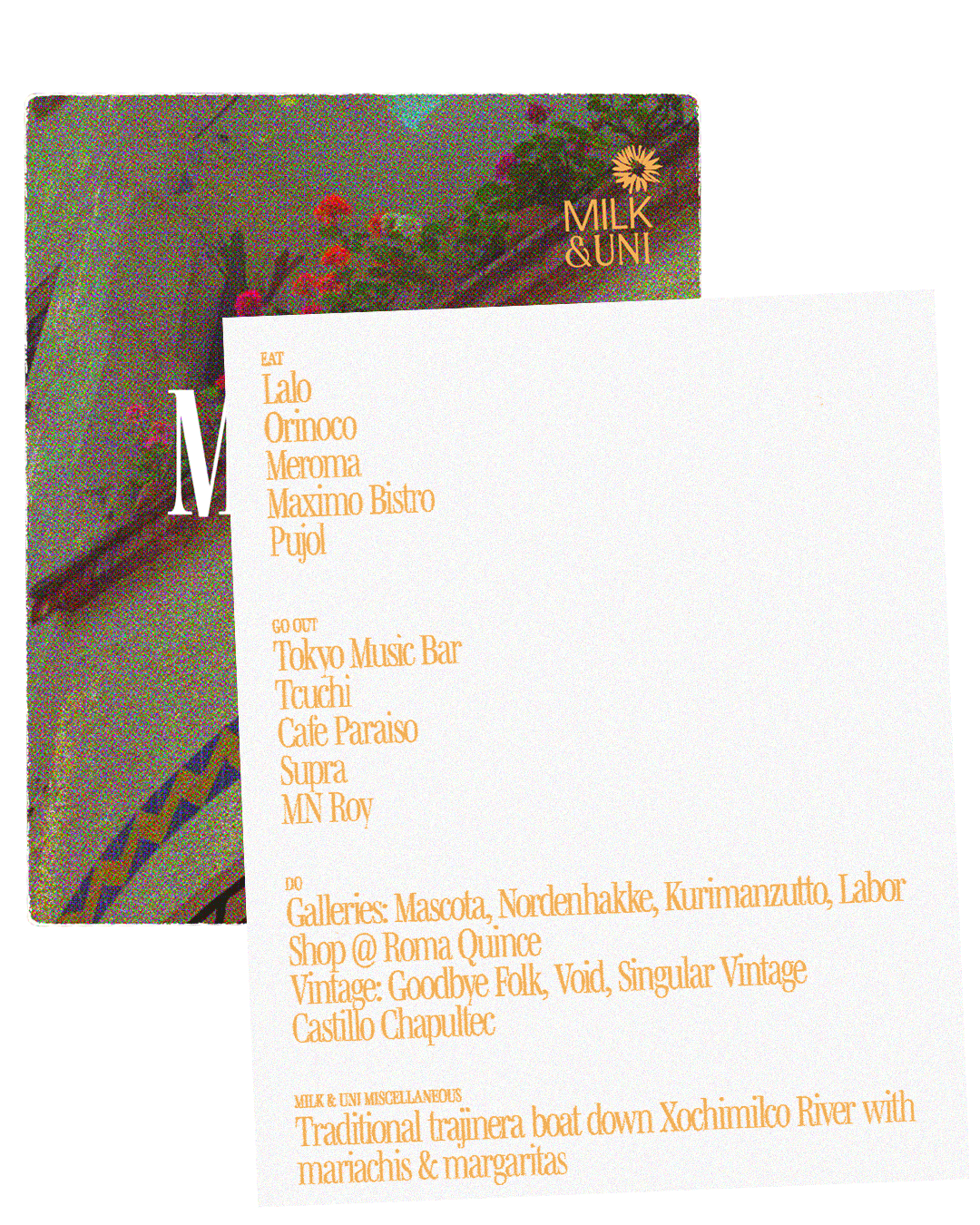 Mexico Travel Card