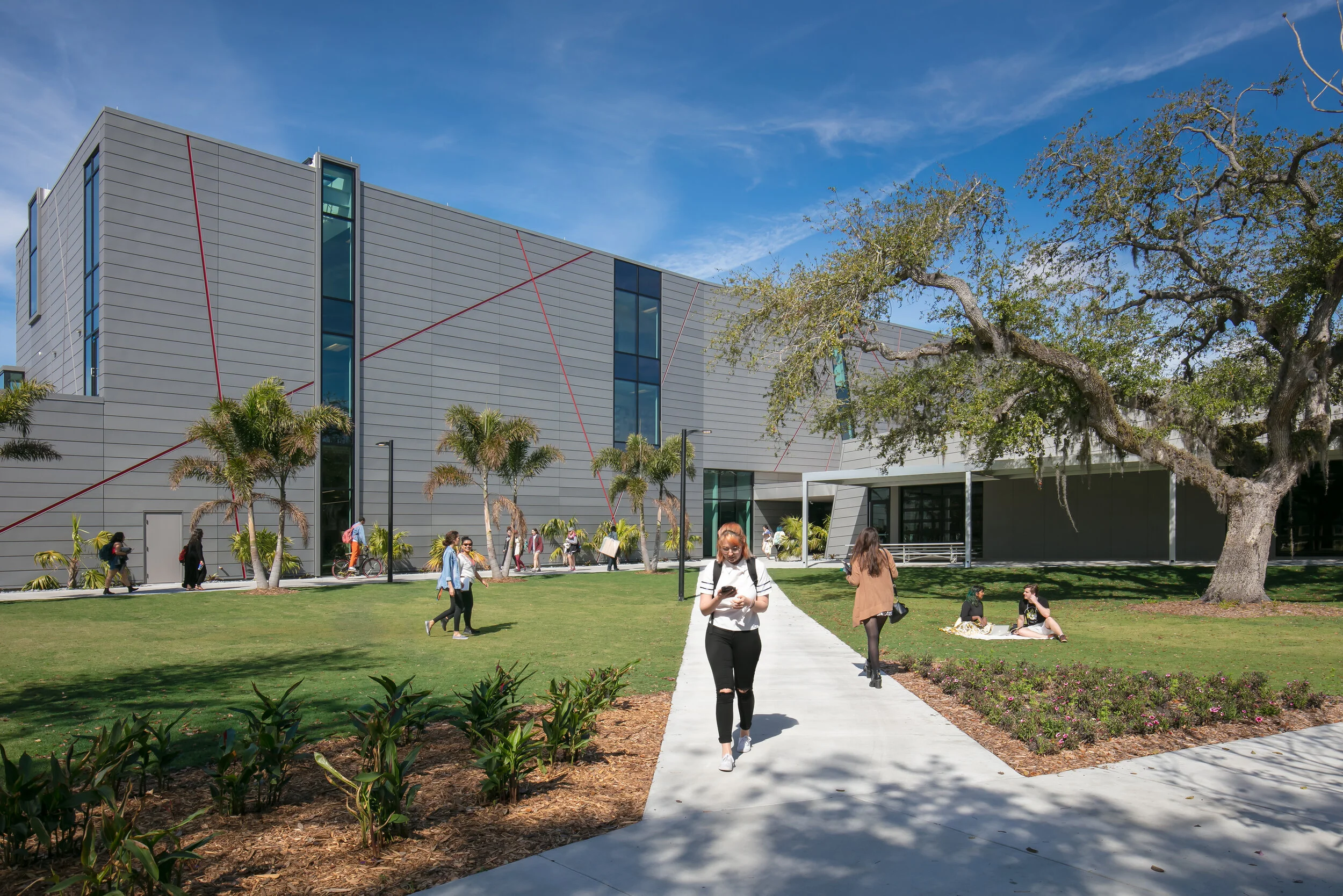 About — Ringling College Galleries + Exhibitions