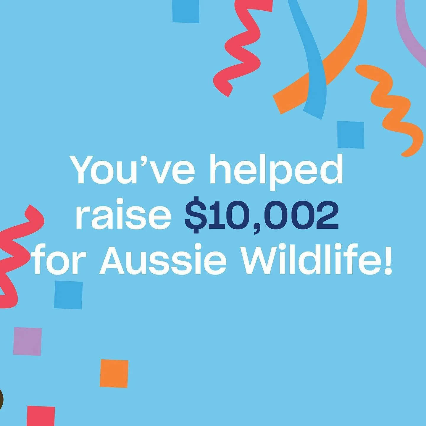 Sparkling & Still Aluminium Canned Water In Australia | Wallaby Water