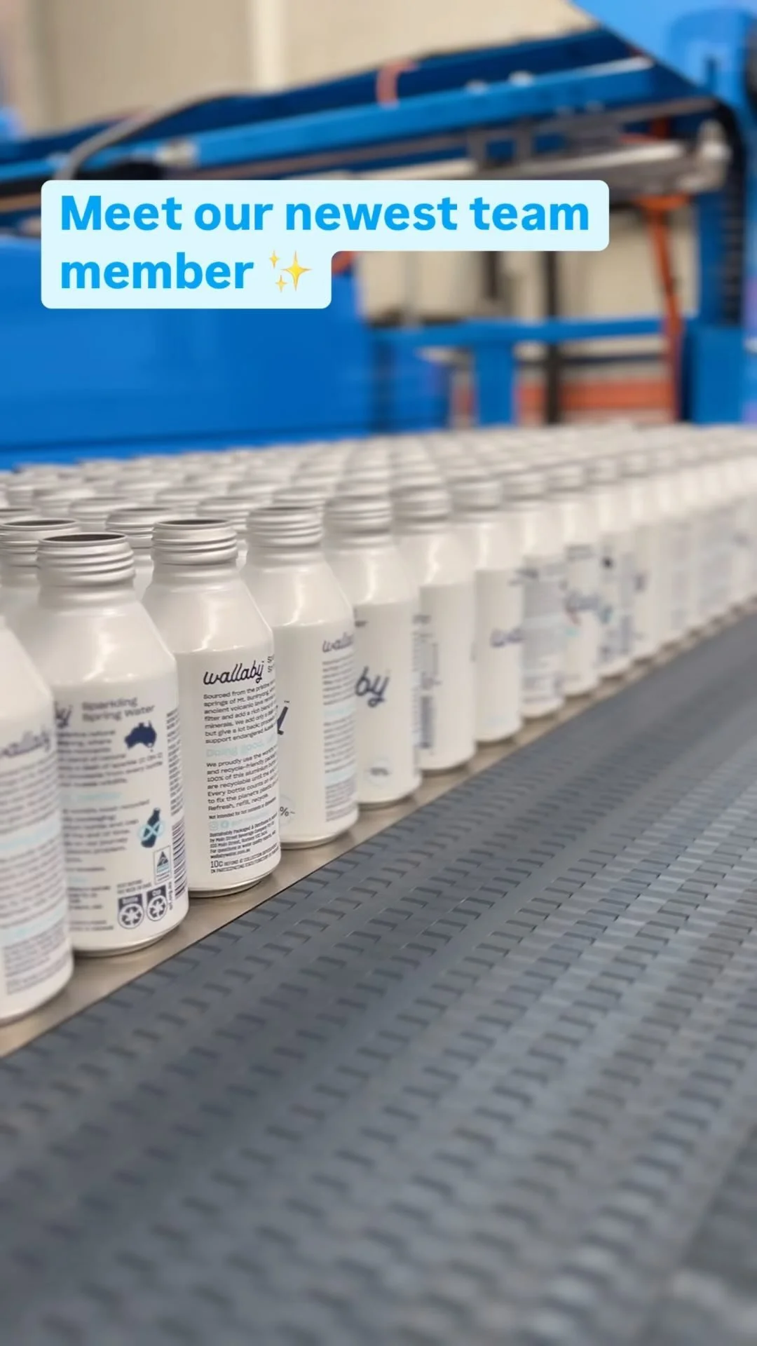 Buy Aluminium Bottled & Canned Water Online In Australia | Wallaby Water