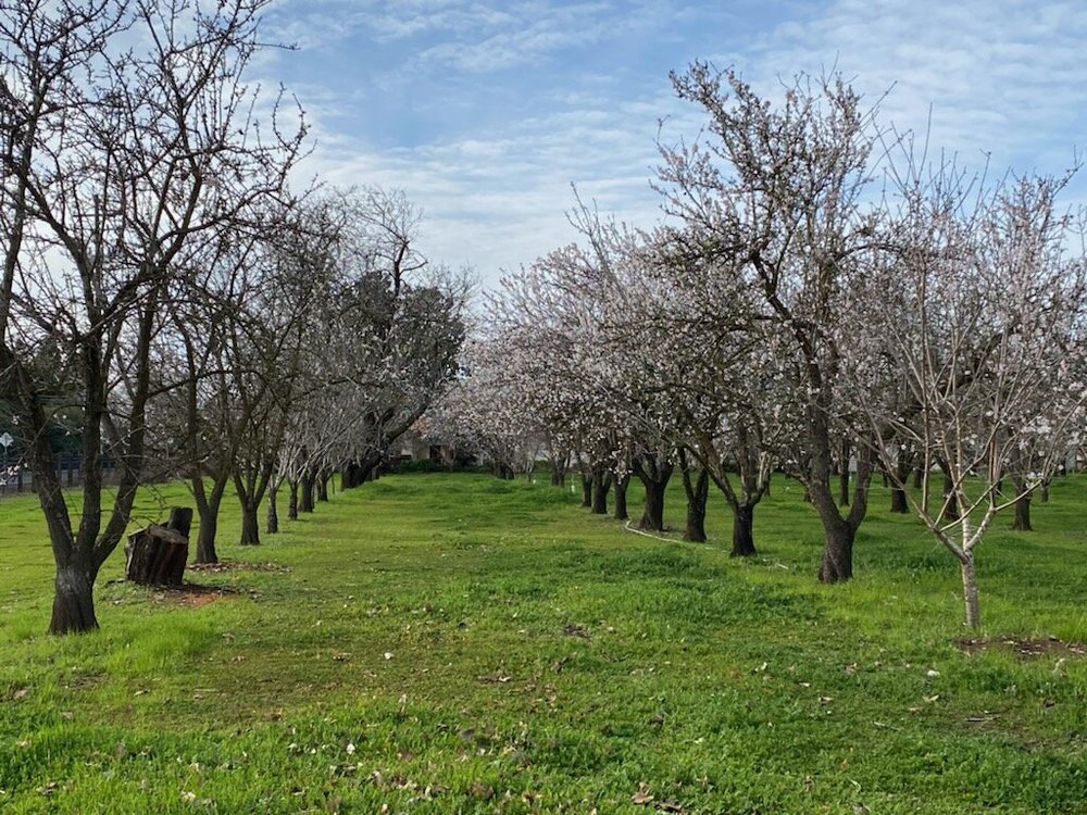 Thomas Manufacturing Co., L.L.C