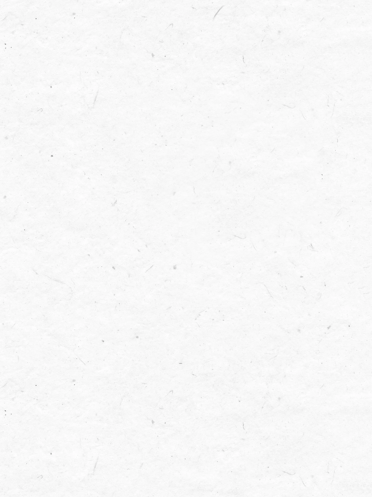 Group Shoots — Bec Shaw Photography