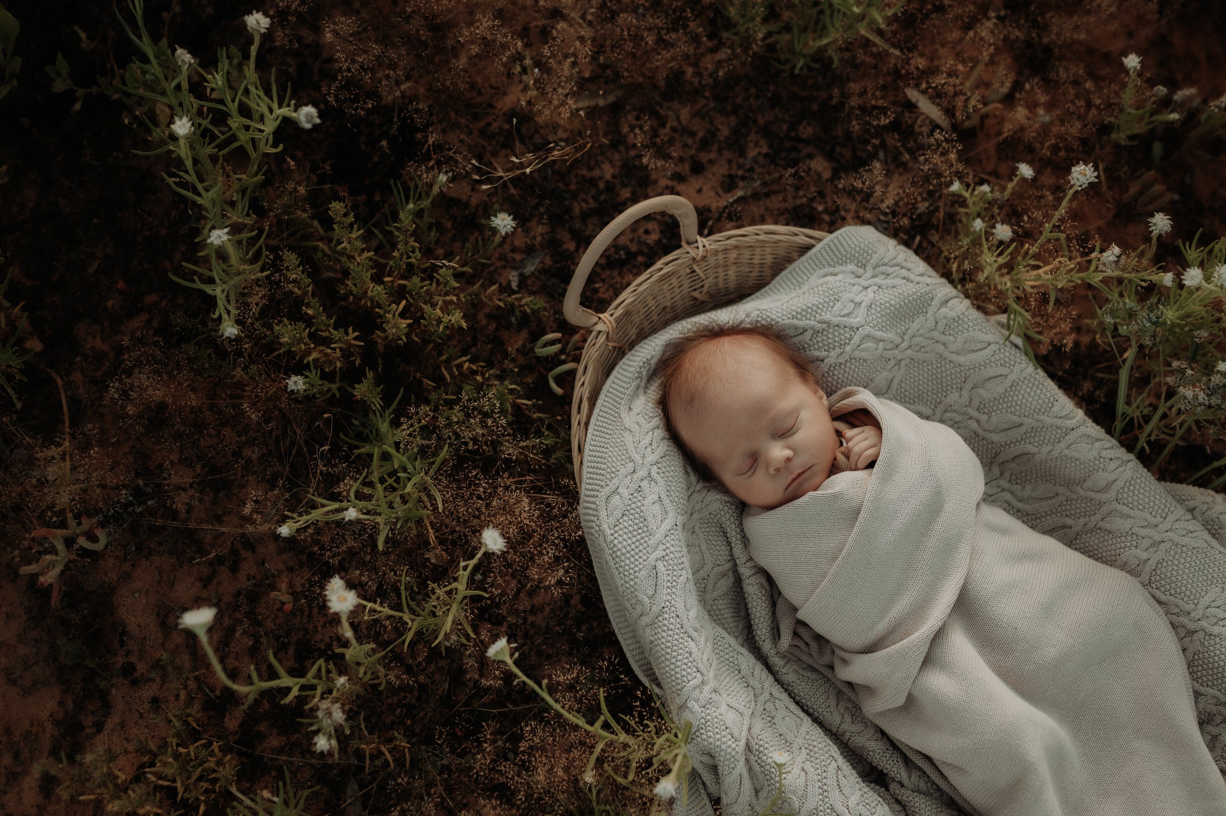 Bec Shaw Photography