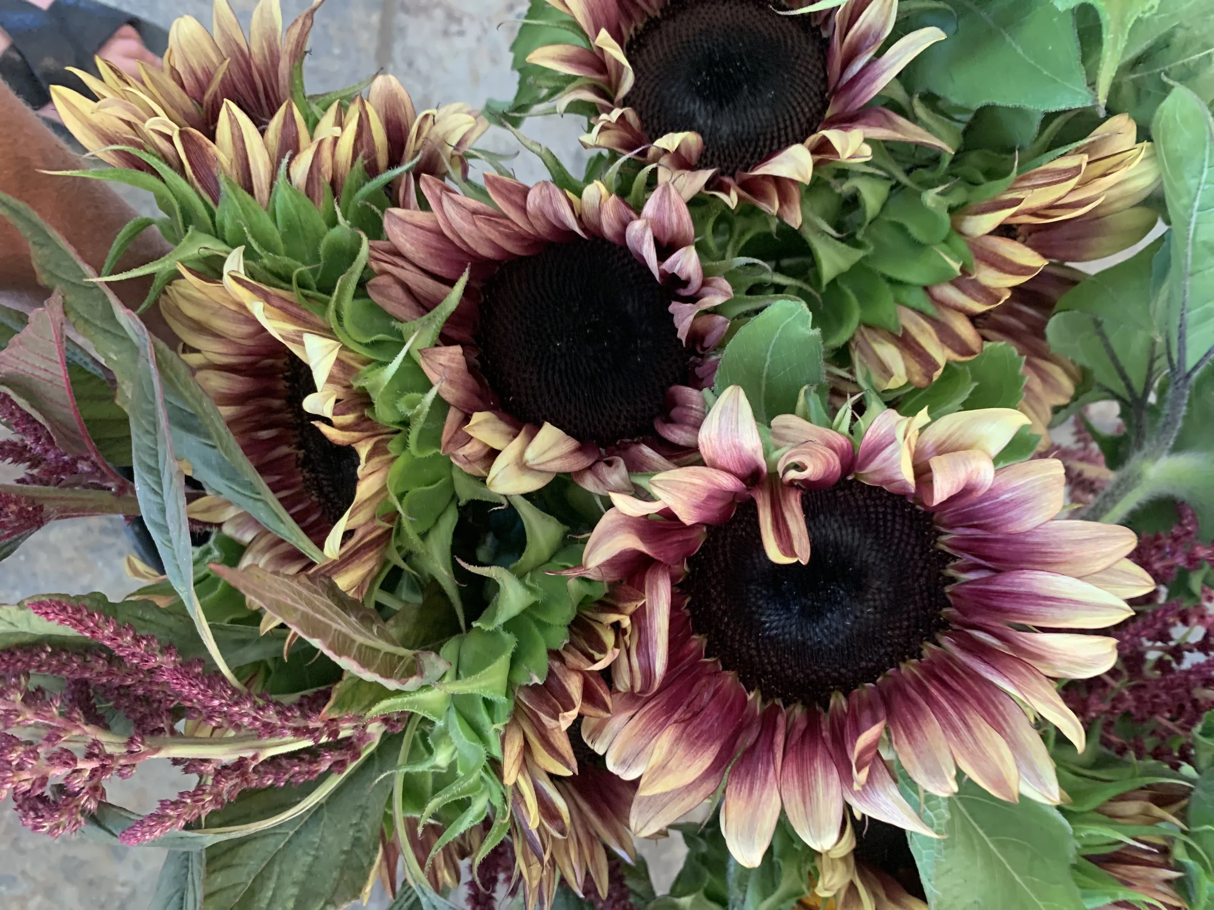 Events — Bloomz Flower Farm