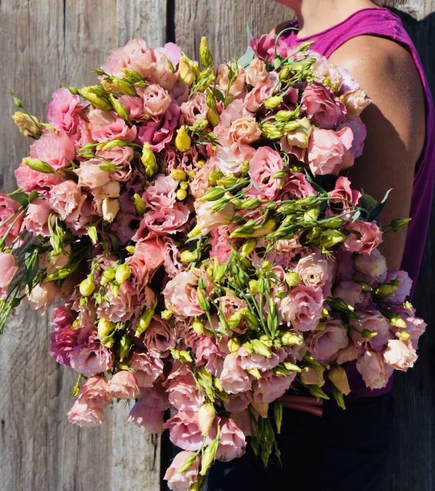 What We Grow — Bloomz Flower Farm