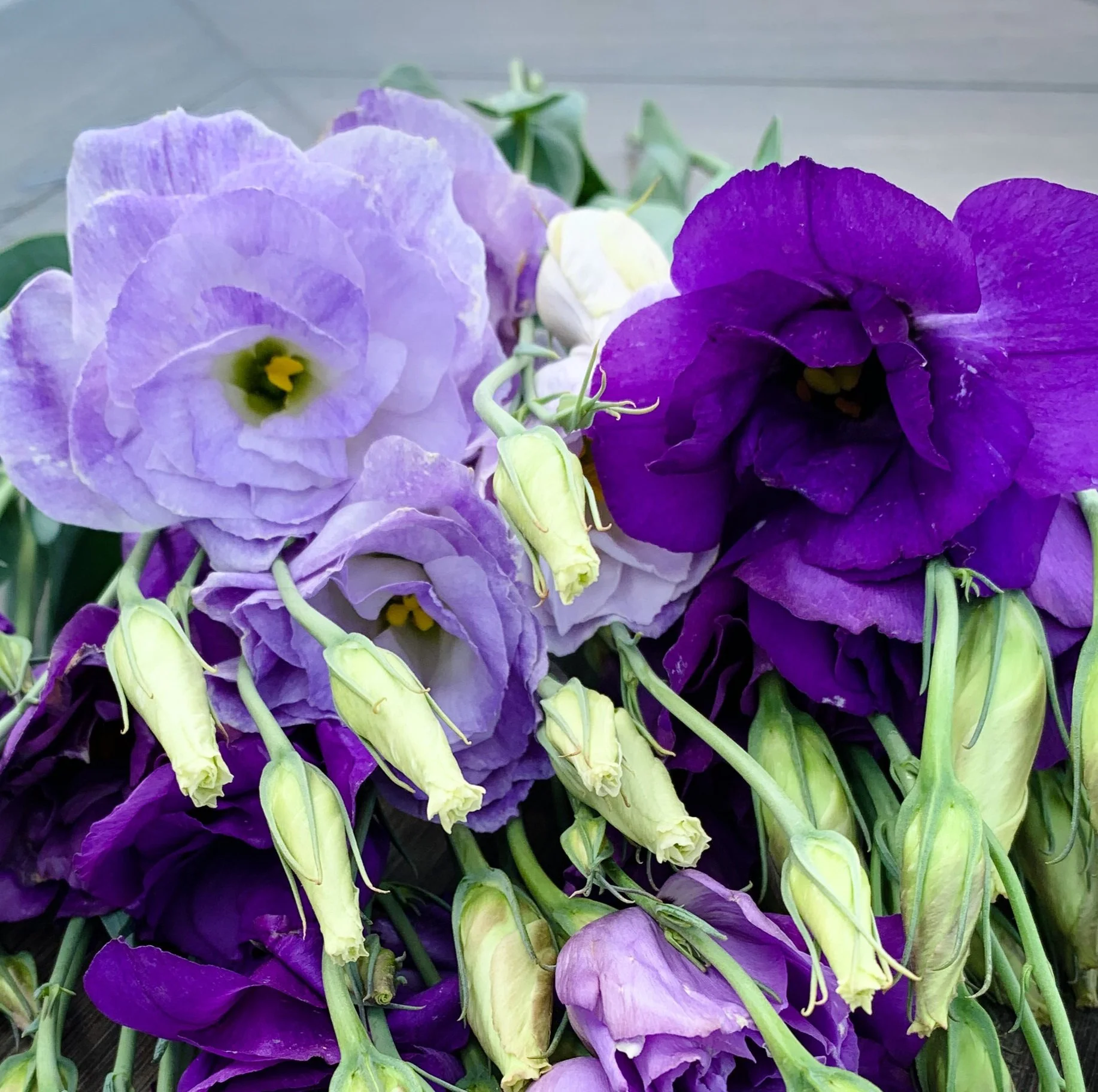 What We Grow — Bloomz Flower Farm