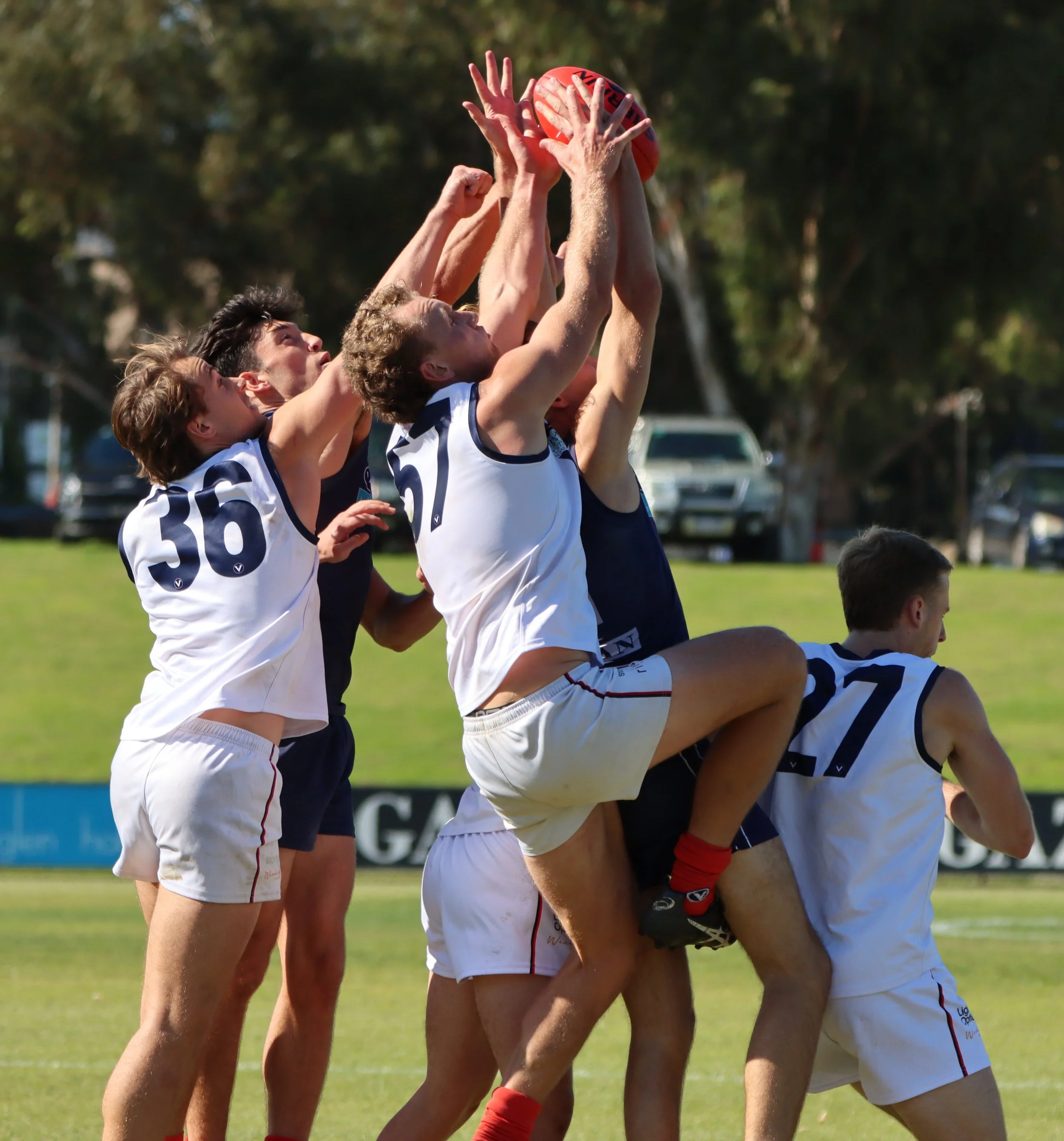 Photos — Old Brighton Grammarians Football Club