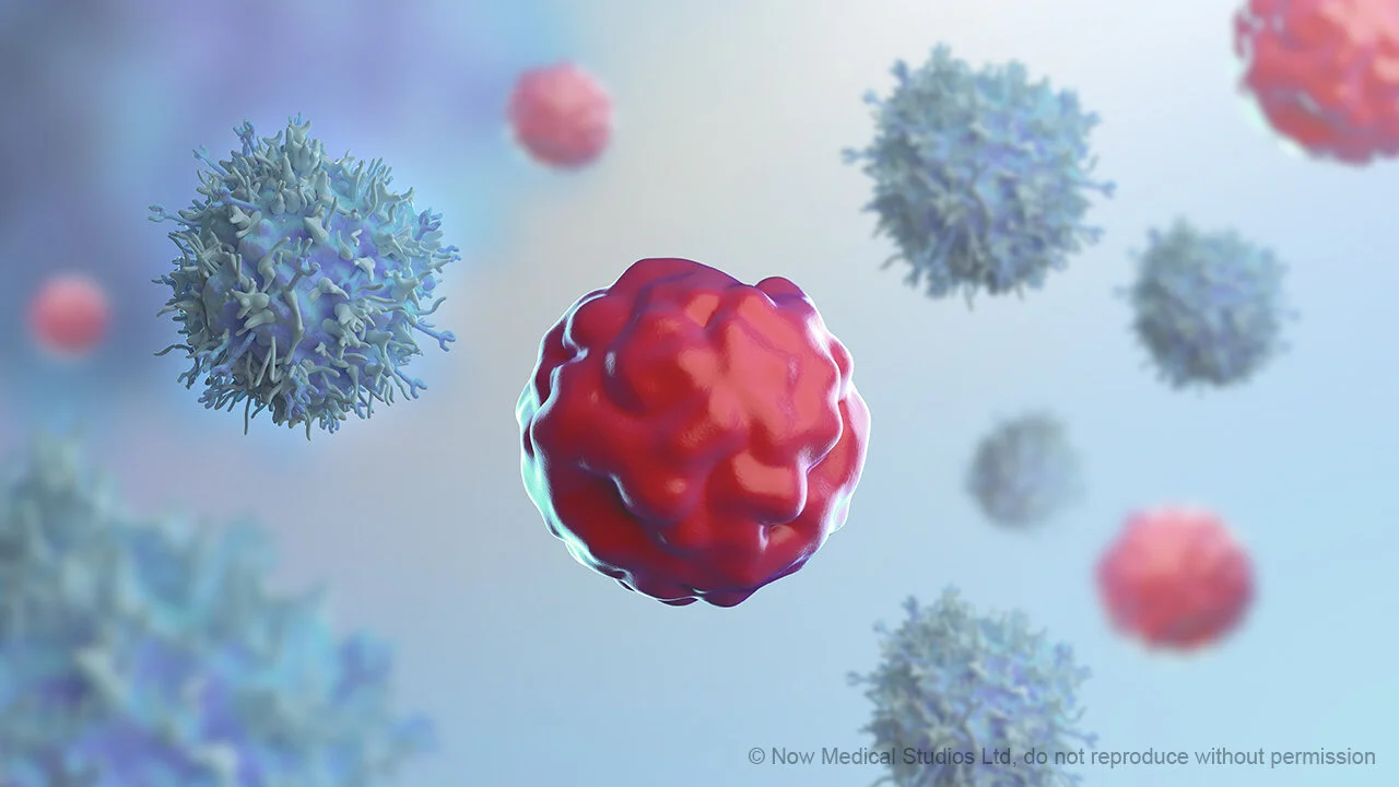 3D modelling T-cell and cancer cells for illustration, promotion ...