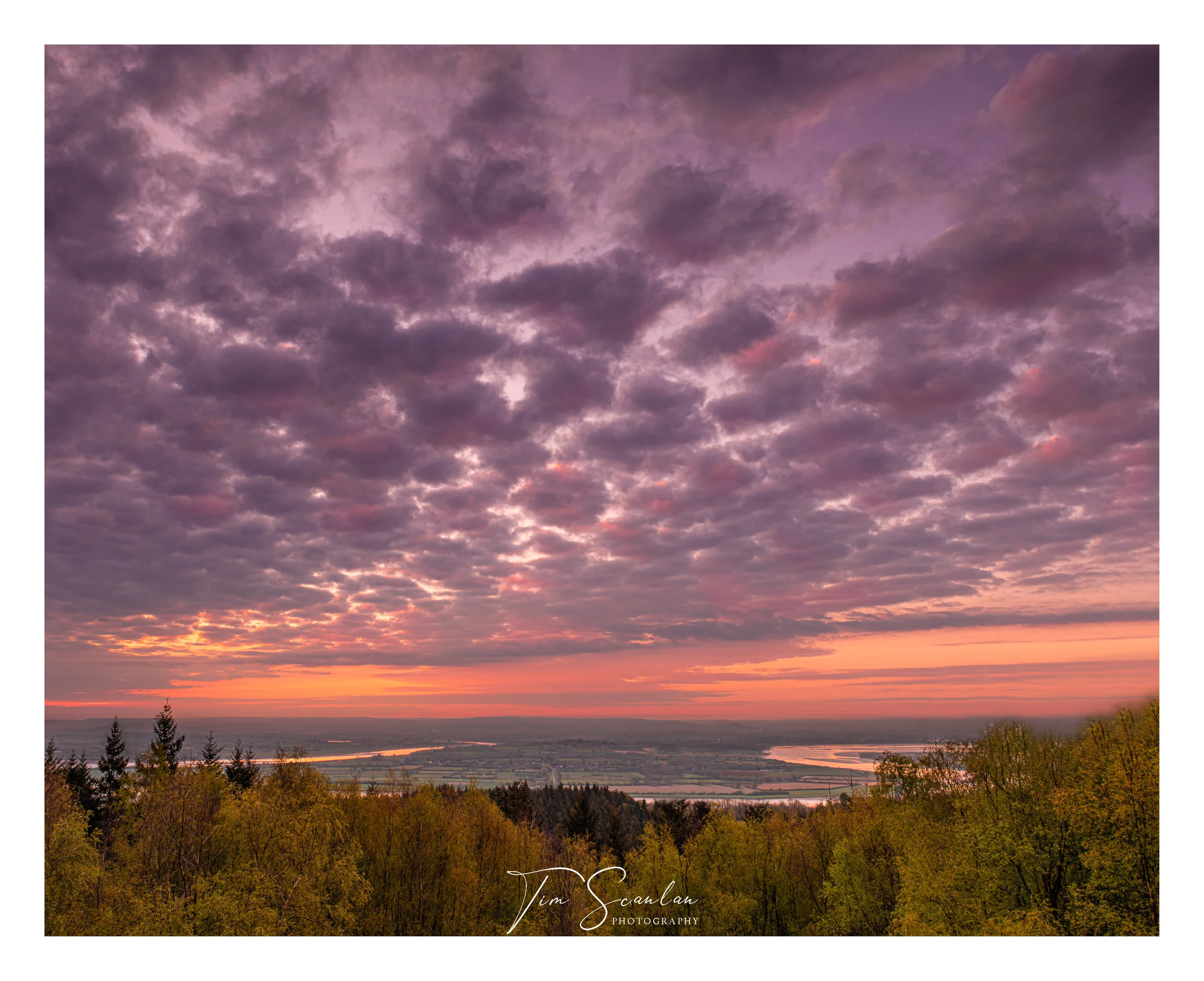 I SHOULD BE COMMITTED……. — TIM SCANLAN PHOTOGRAPHY