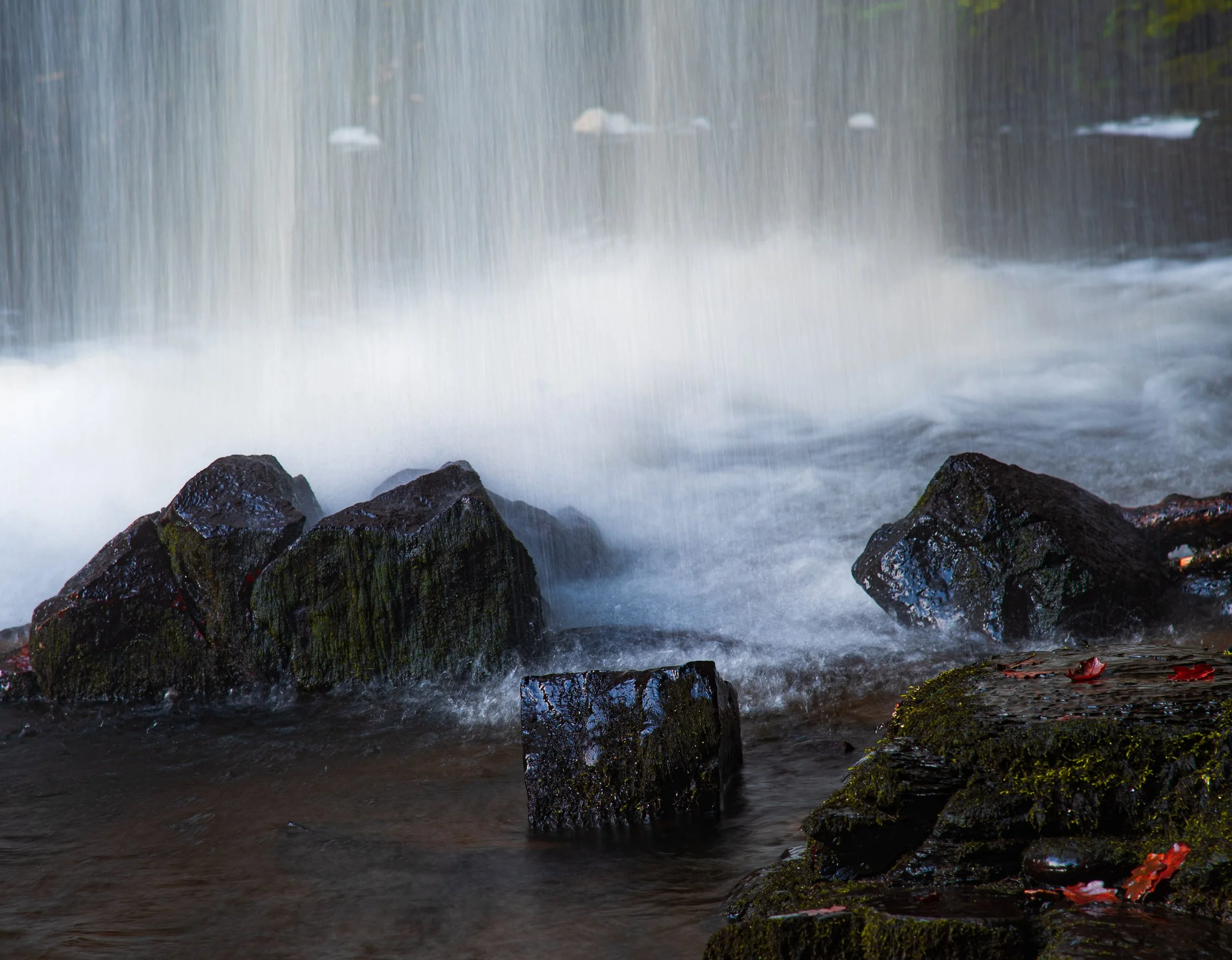 TIM SCANLAN PHOTOGRAPHY