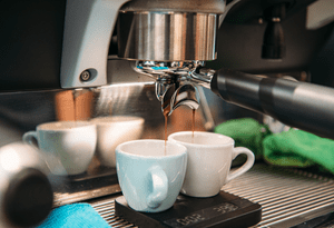 SCA Coffee Skills Program | Build Your Coffee Expertise — SCA Education