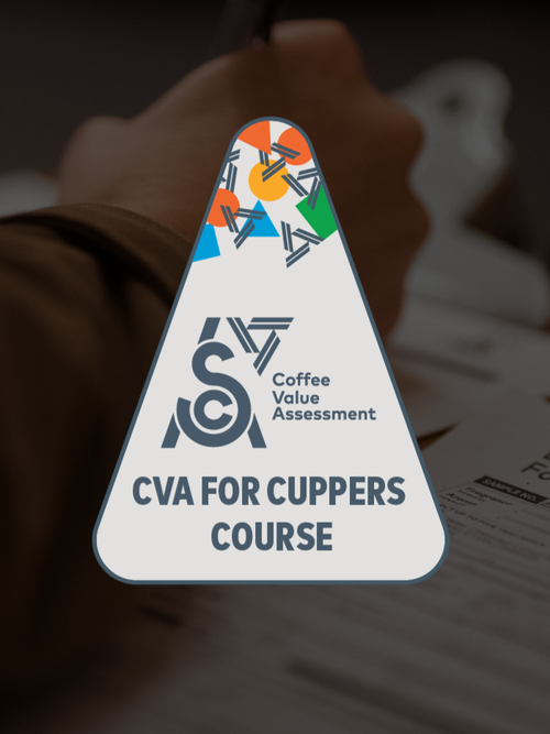 Coffee Value Assessment (CVA) for Cuppers Course — SCA Education