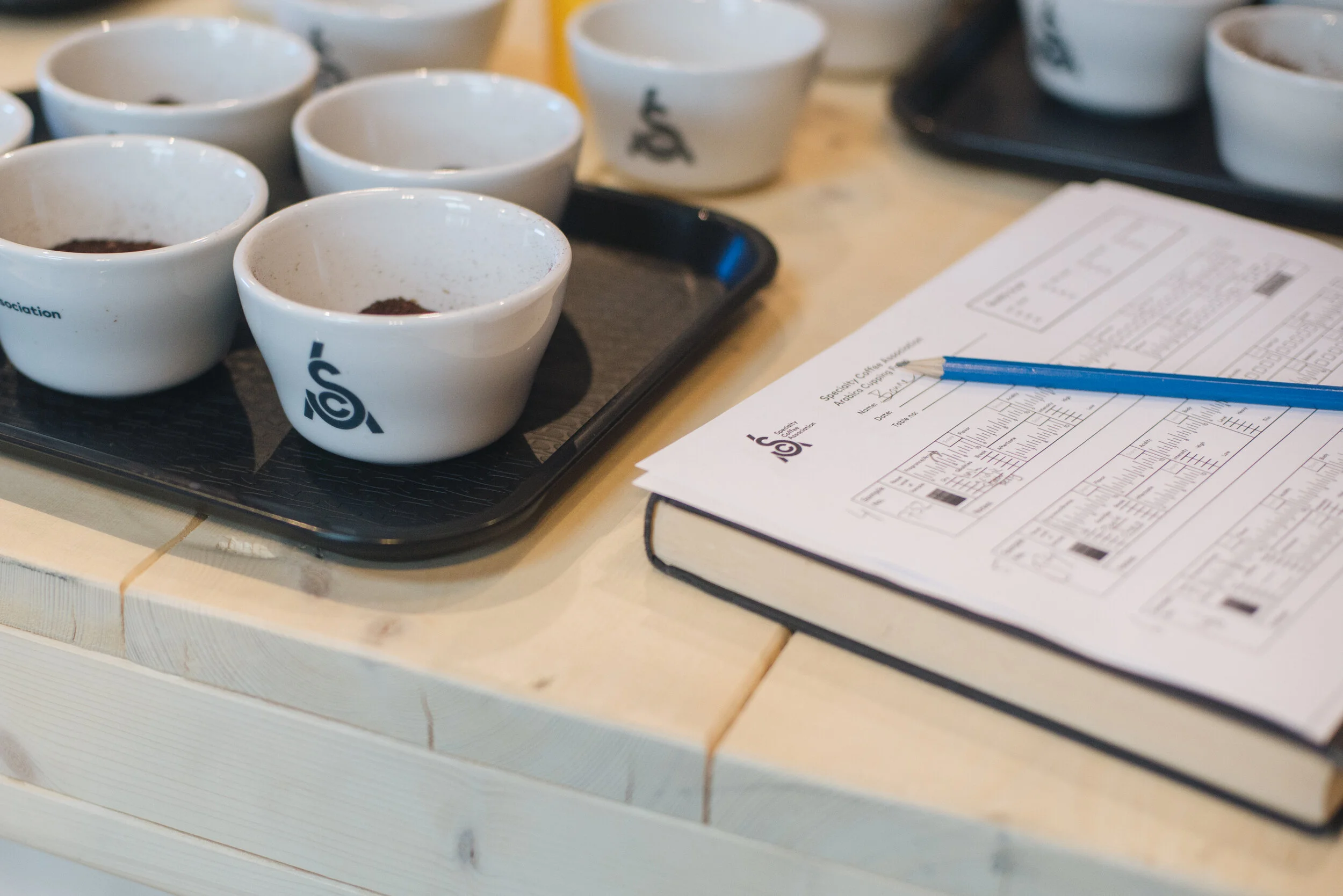 Find a Course — SCA Education