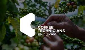 How SCA Coffee Education Works | Learn & Grow — SCA Education