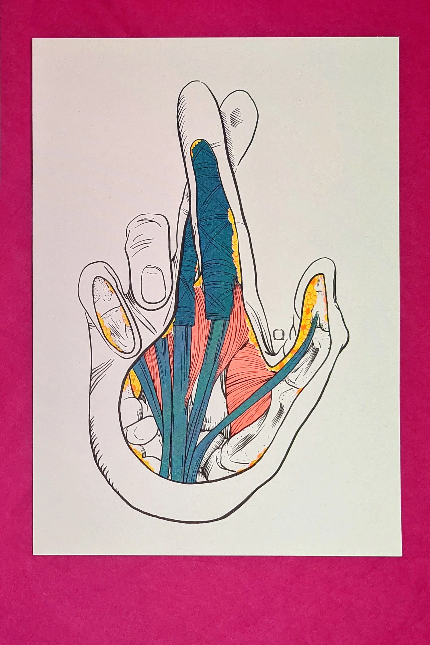 Fingers Crossed Anatomy Risoprint — The Illustrated Lab