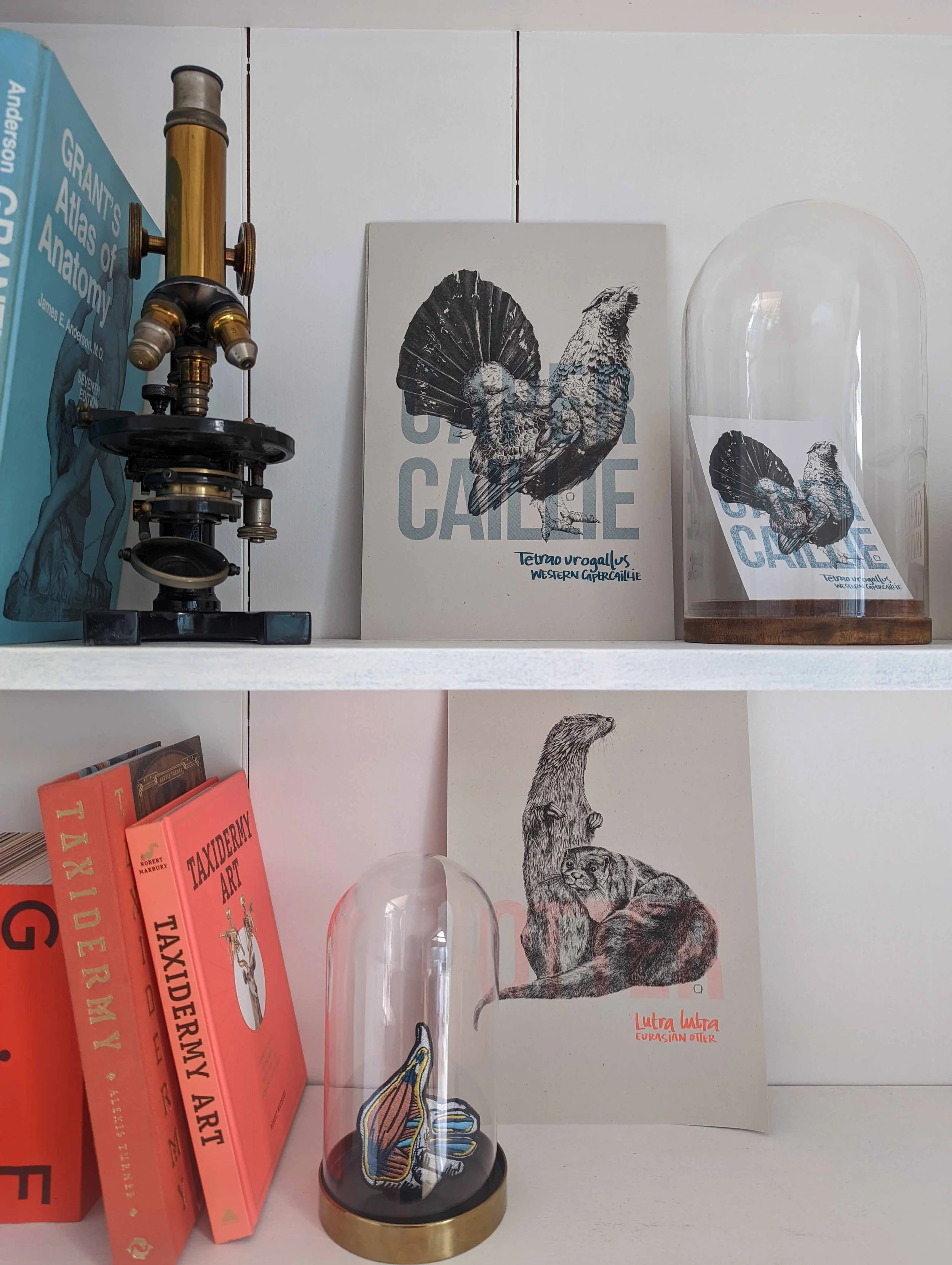 The Lub Dub Print — The Illustrated Lab