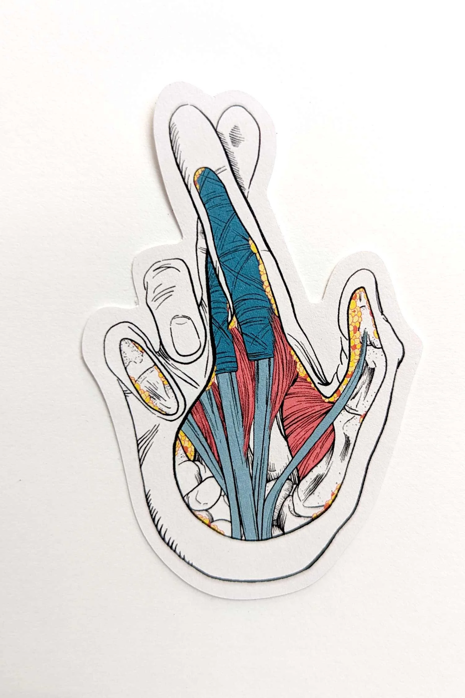 Fingers Crossed Sticker — The Illustrated Lab