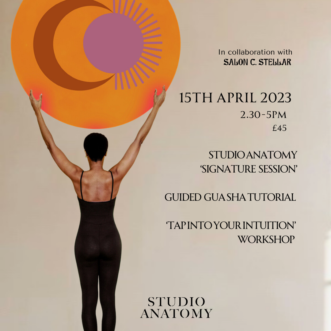 Blog 2 — STUDIO ANATOMY