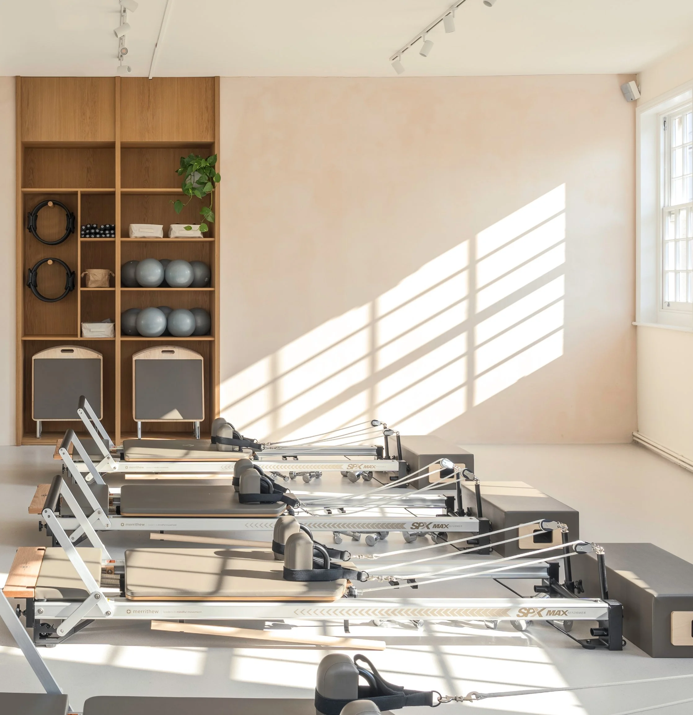 Studio Anatomy - Dynamic Reformer Pilates — STUDIO ANATOMY