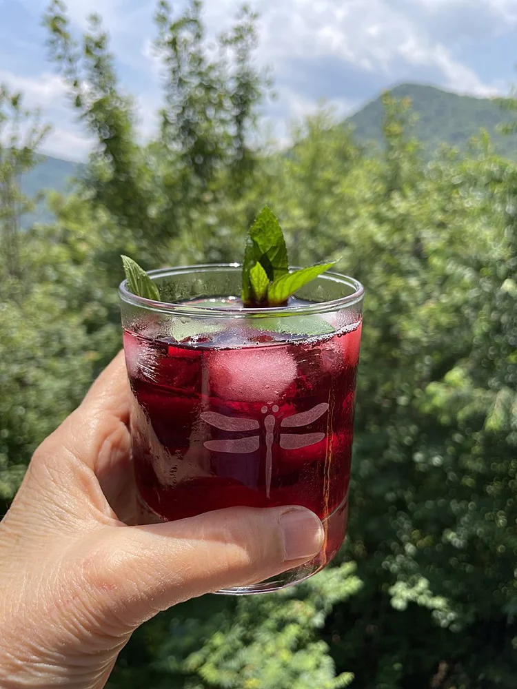 Hibiscus Mint Tea — Nourishing Nirvana