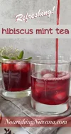 Hibiscus Mint Tea — Nourishing Nirvana