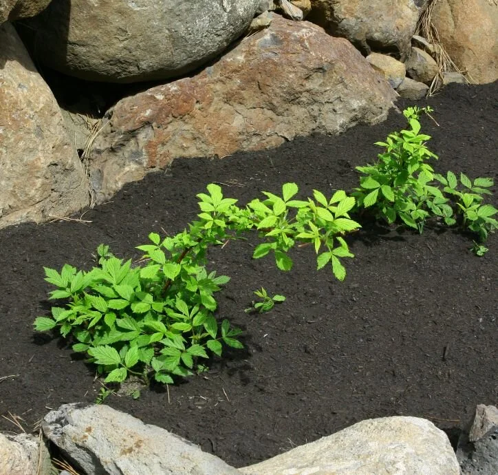 Soil Project Photos — SiteOne Stone Center - Landscape Supply in Spokane