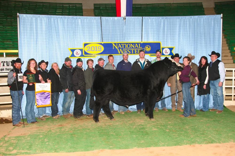 Sires — Hilbrands Cattle Co