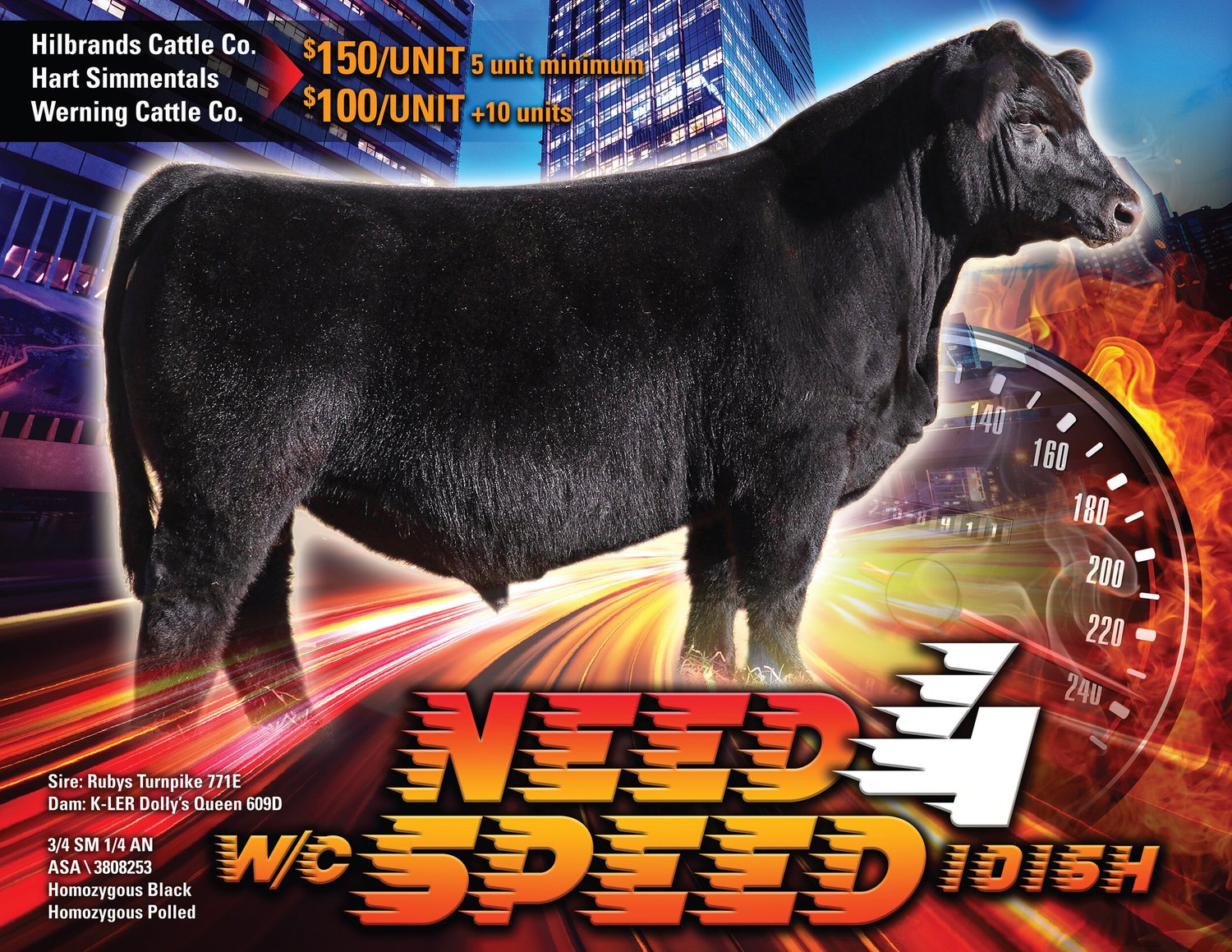 Sires — Hilbrands Cattle Co